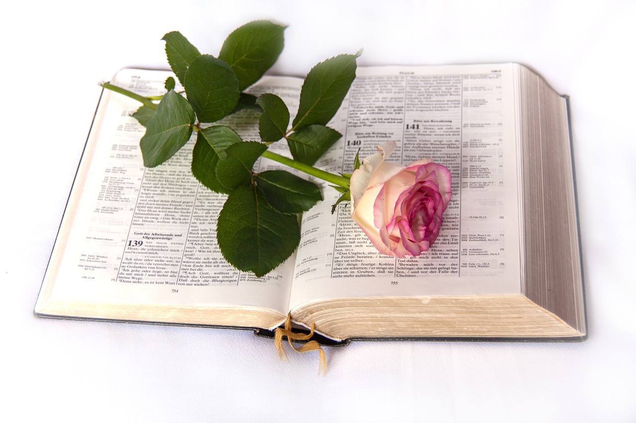 What Is The Meaning Of Matthew 5 38 42