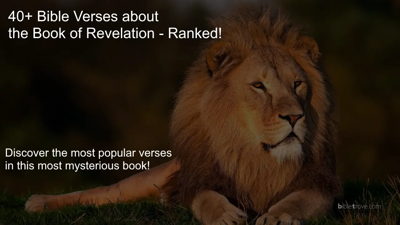 40+ Bible Verses About Revelation - Ranked!