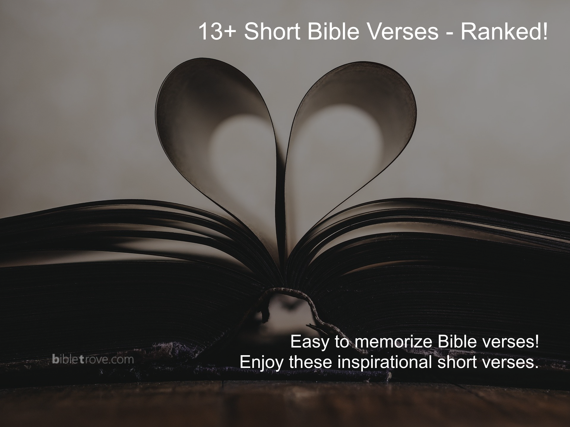 13+ Short Bible Verses - Ranked!